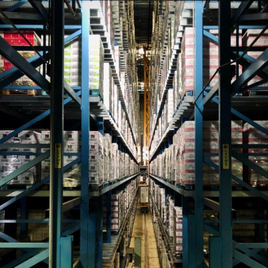 Roboyo | Intelligent Automation | RPA | Next Level Now