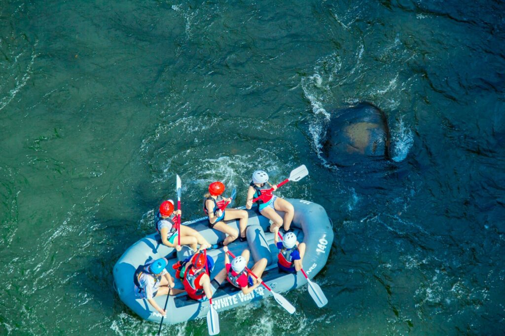 Roboyo | Intelligent Automation | RPA | Next Level Now